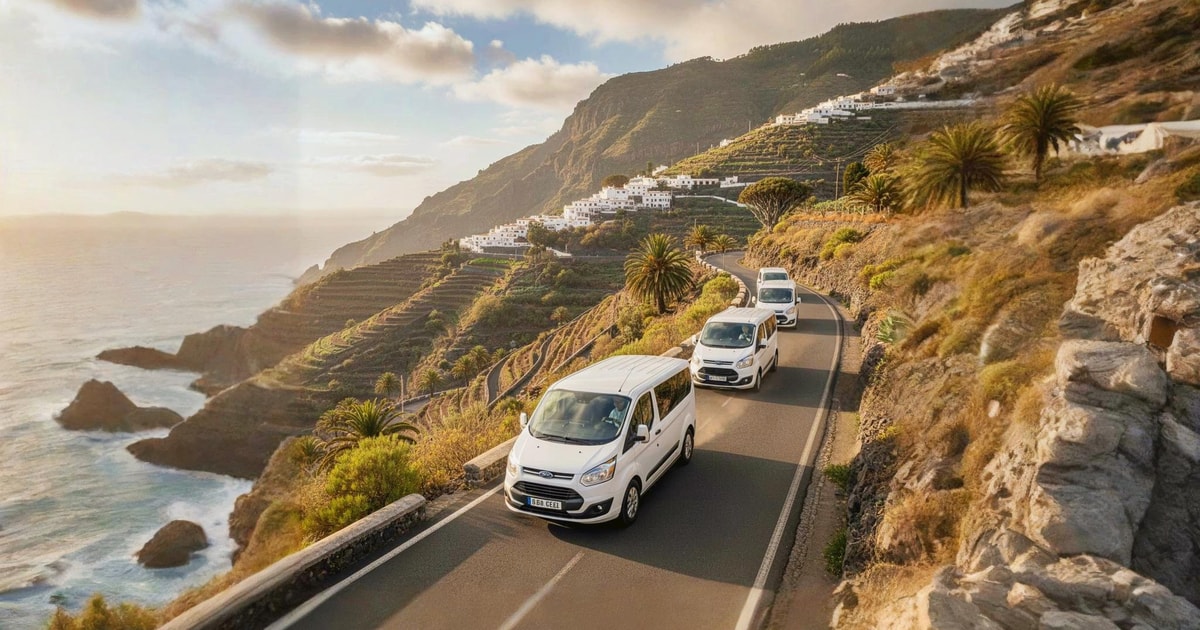 Tenerife: Celodenní výlet mini dodávkou s návštěvou vesnic a prohlídkou ...