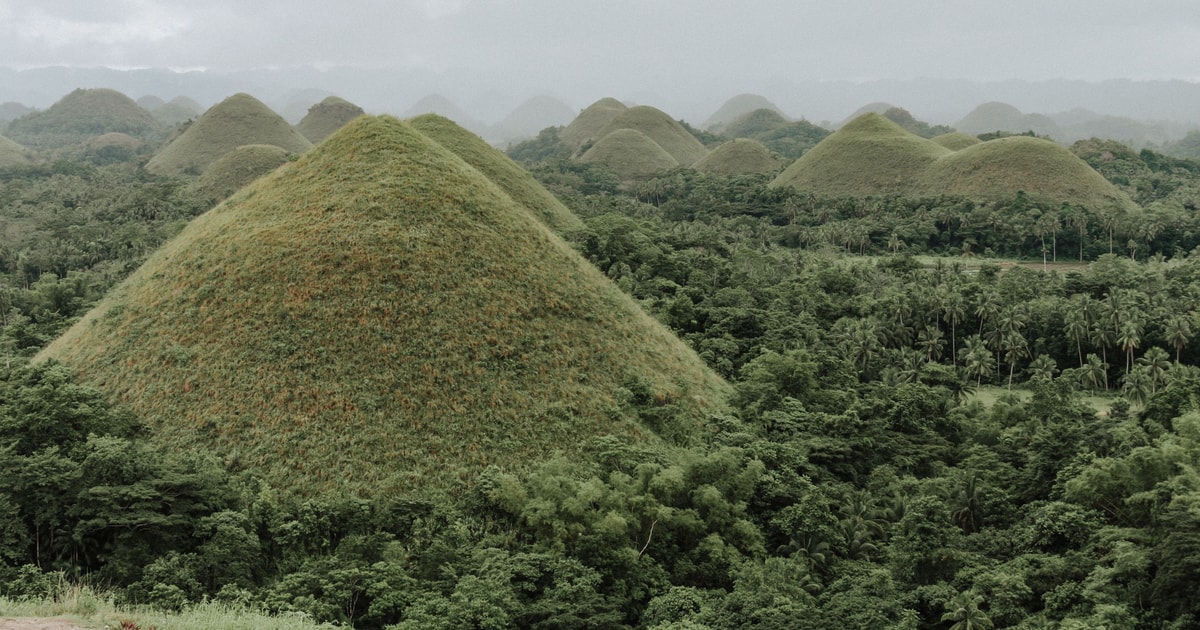 From Cebu: Day Trip to Bohol Highlights | GetYourGuide