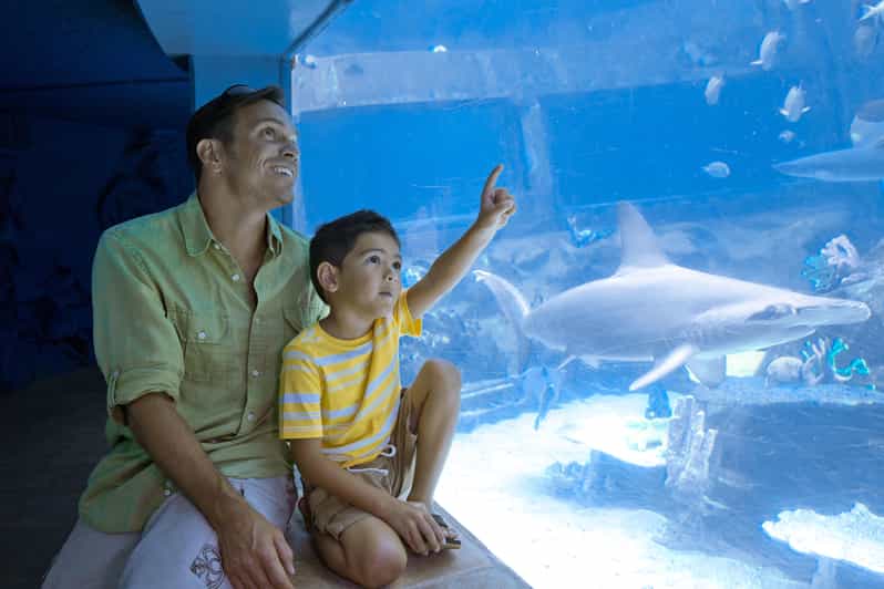 Oahu: Sea Life Park General Admission Ticket | GetYourGuide