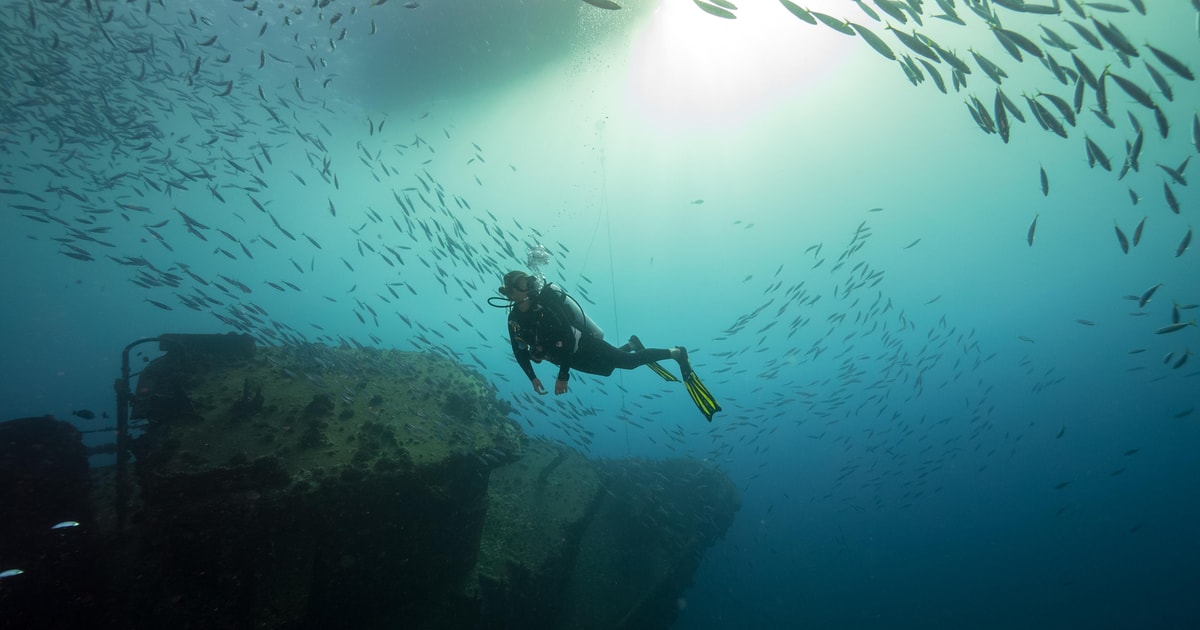 Oahu: Wreck & Reef Scuba Dive for Certified Divers | GetYourGuide