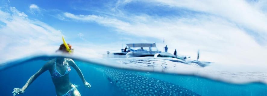 The BEST Oslob Tours and Things to Do in 2022 - FREE Cancellation ...