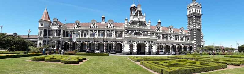 Dunedin: City Highlights and Otago Peninsula Scenery | GetYourGuide