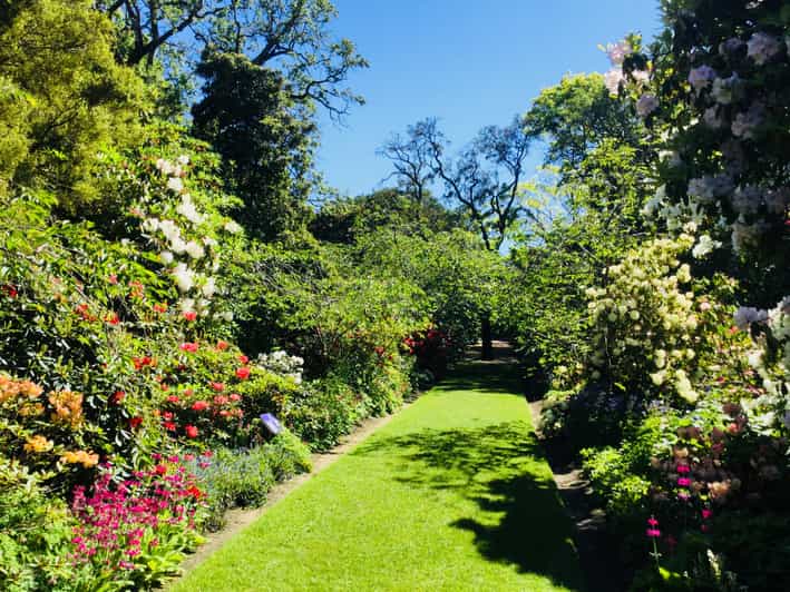 Dunedin: City Highlights and Otago Peninsula Scenery | GetYourGuide