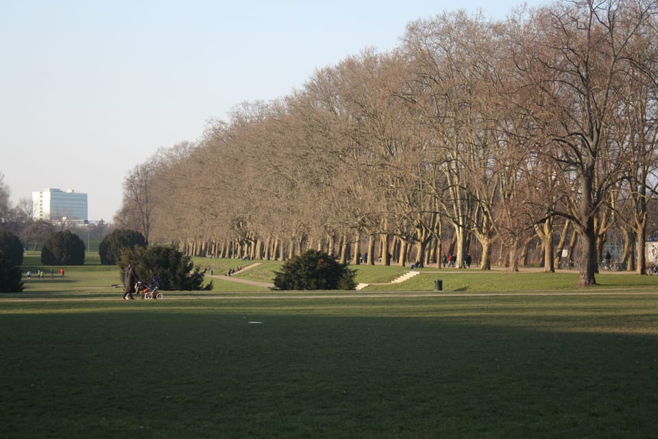 Cologne: Guided Tour of Lindenthal | GetYourGuide