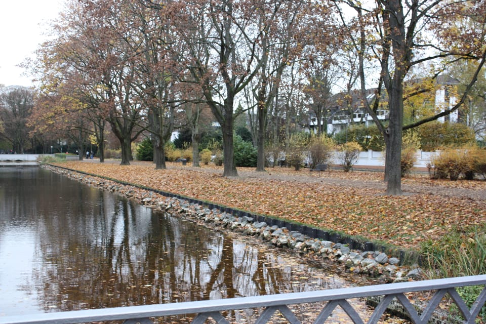 Cologne: Guided Tour of Lindenthal | GetYourGuide