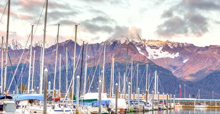 The BEST Seward Tours and Things to Do in 2022 - FREE Cancellation ...