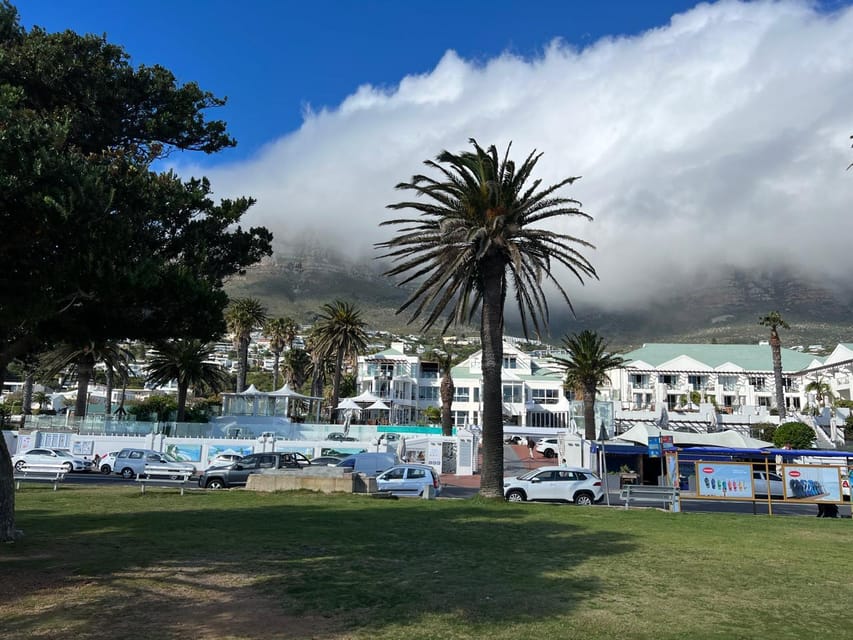 Full-Day Private Cape Town’s Most Beautiful Beaches Tour | GetYourGuide