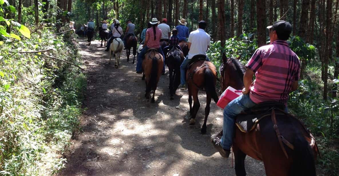 From Medellin: Guided Horseback Riding Tour in Nature | GetYourGuide