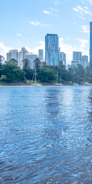 Brisbane: Guided River Kayak Tour | GetYourGuide