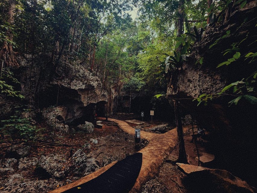 Green Grotto Caves and Dunn’s River Falls Tour | GetYourGuide