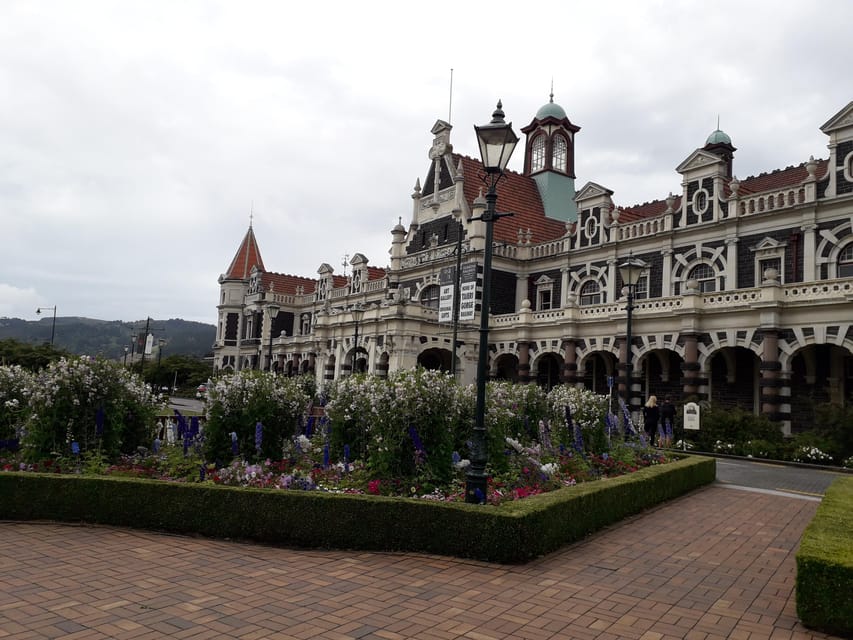 Dunedin: Otago Peninsula with Guided Penguin Tour | GetYourGuide