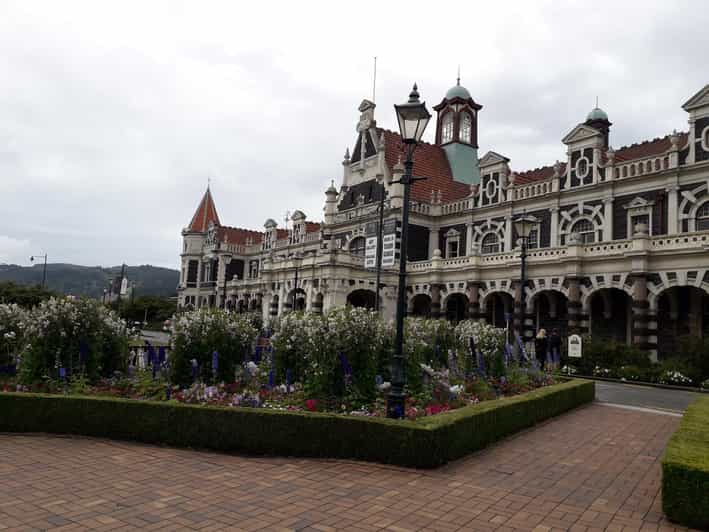 Dunedin: Otago Peninsula with Guided Penguin Tour | GetYourGuide