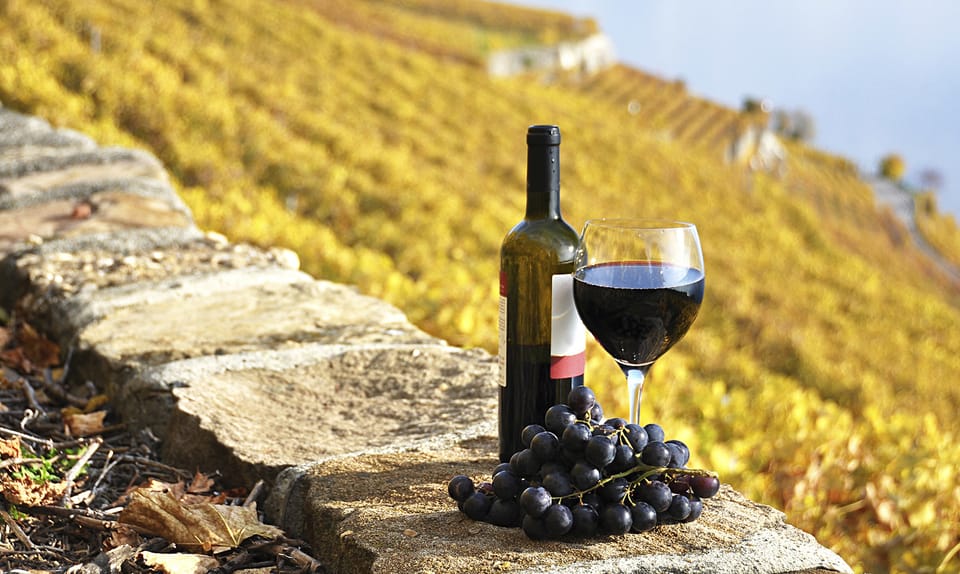 Half-Day Tour from Florence: Chianti Colors & Flavors | GetYourGuide