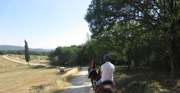 Tuscany: Horseback Riding Adventure with Lunch in a Winery | GetYourGuide