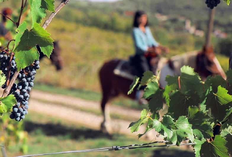 Tuscany: Horseback Riding Adventure with Lunch in a Winery | GetYourGuide