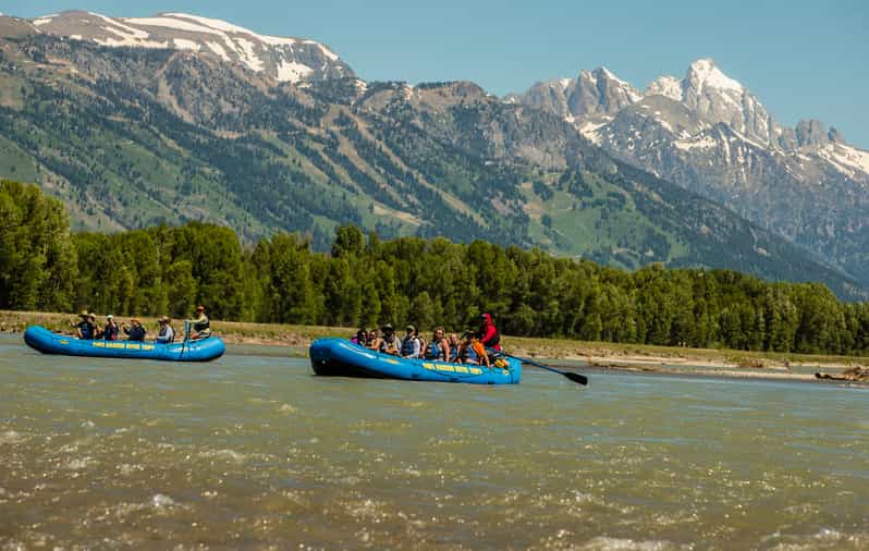 13-Mile Snake River Scenic Rafting Experience from Jackson | GetYourGuide