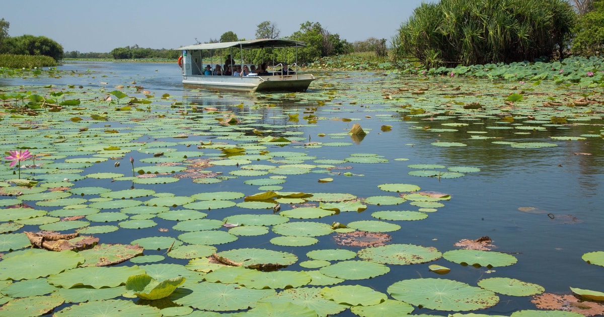 Darwin: Mary River Wetlands Wildlife Cruise with Lunch | GetYourGuide