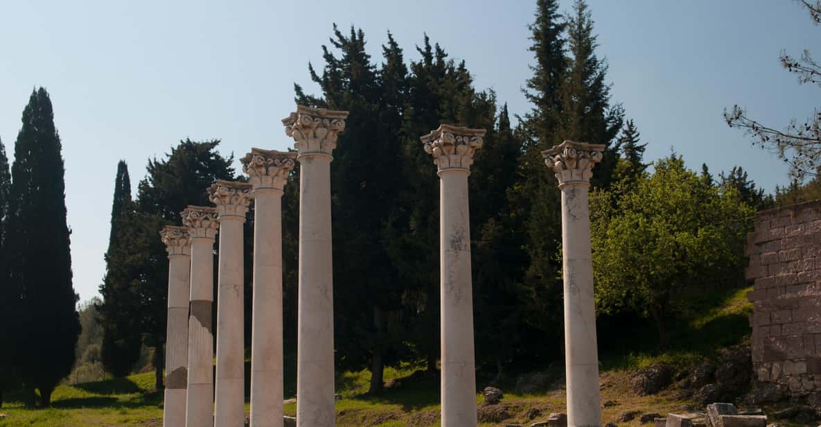 The Asclepieion at Kos: From Healing Gods to Medicine | GetYourGuide