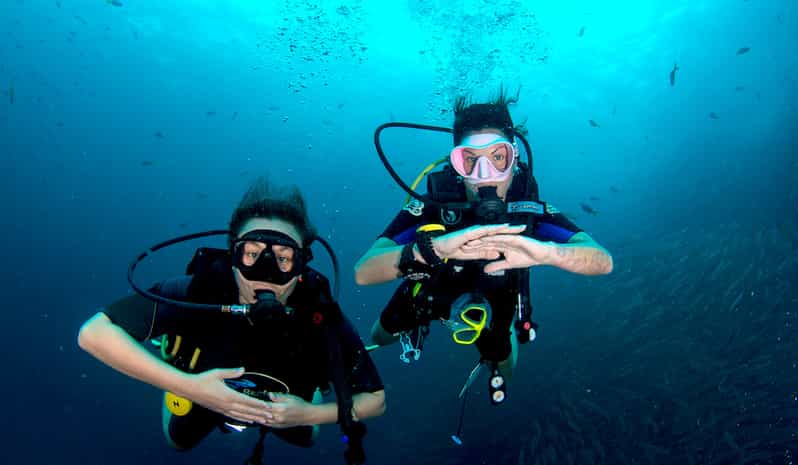Ko Tao: Open Water Scuba Diving 4-Tages-Kurs | GetYourGuide