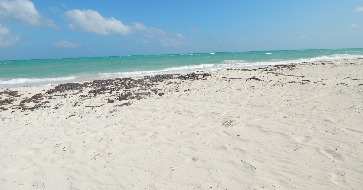 Isla Blanca: Expedición privada de 4 horas en bici y tour en barco ...