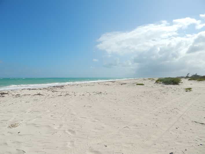 Isla Blanca: 4-Hour Private Expedition Bike & Boat Tour | GetYourGuide