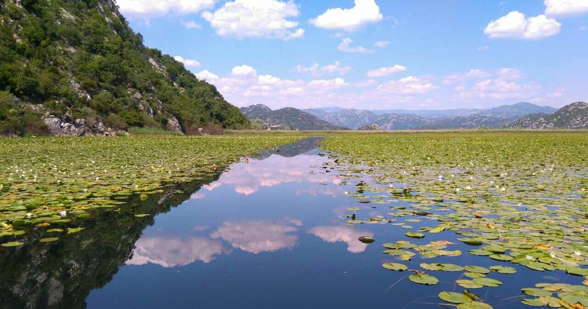 Kotor: Nationalpark Skadar See mit Weinverkostung | GetYourGuide
