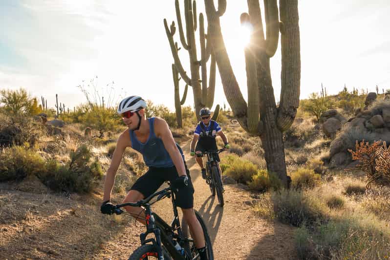 Scottsdale: Half-Day Sonoran Desert Mountain Bike Tour | GetYourGuide