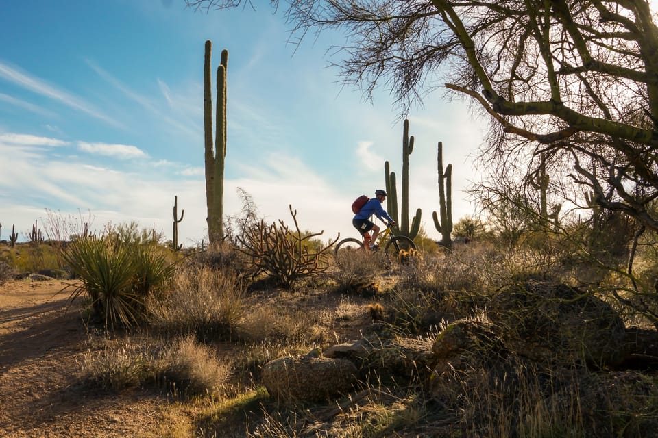 Scottsdale: Half-Day Sonoran Desert Mountain Bike Tour | GetYourGuide