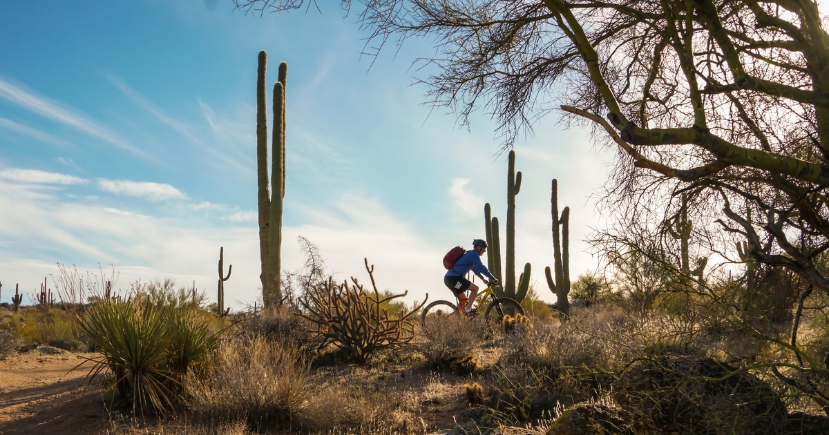 Scottsdale: Half-Day Sonoran Desert Mountain Bike Tour | GetYourGuide