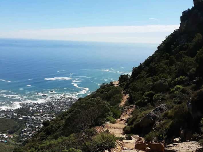 Table Mountain: Scenic Private or Group Hike | GetYourGuide