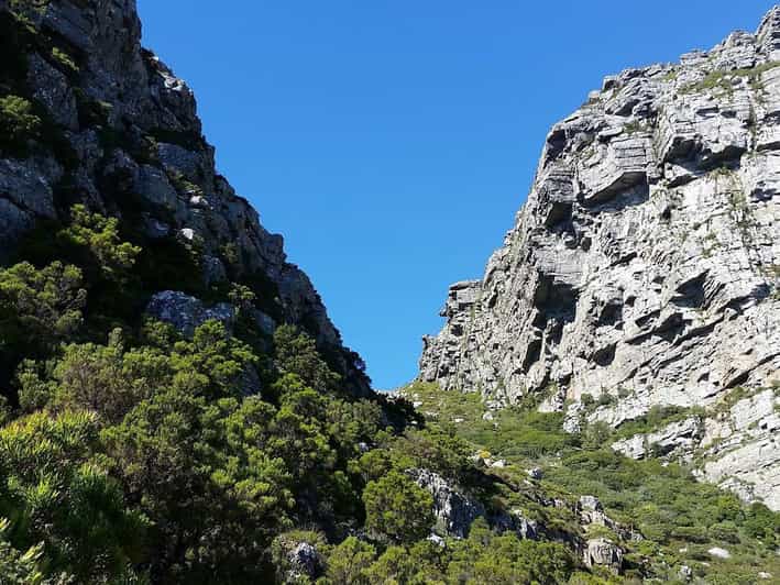 Table Mountain: Scenic Private or Group Hike | GetYourGuide