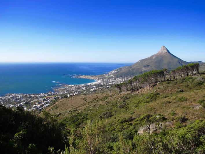 Table Mountain: Scenic Private or Group Hike | GetYourGuide