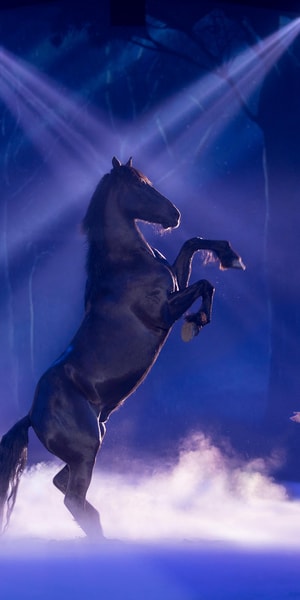 Gold Coast: Australian Outback Spectacular Dinner & Show | GetYourGuide