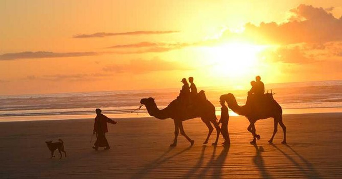 Agadir: 2-Hour Camel Ride on Banana Beach at Sunset | GetYourGuide