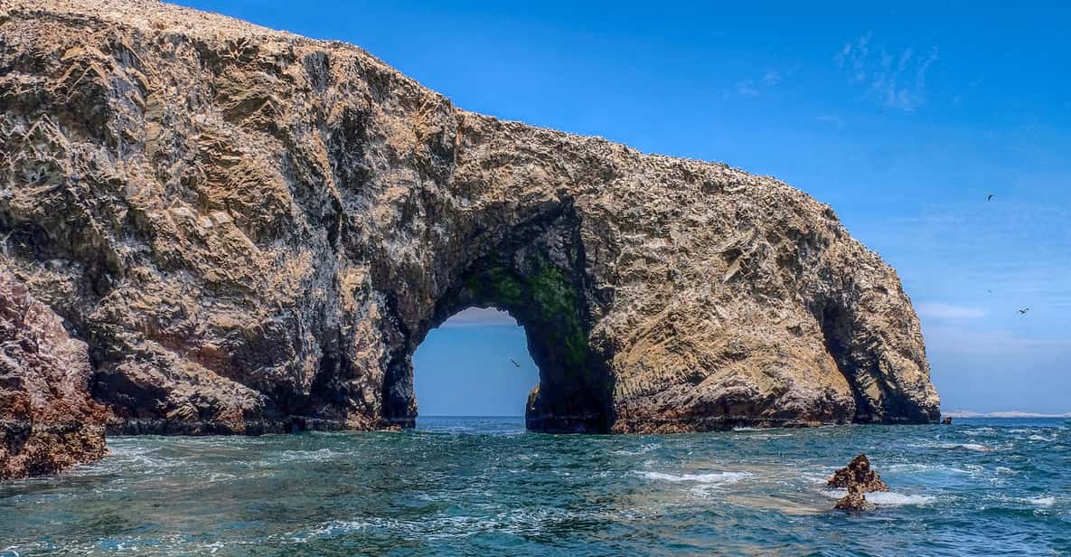 Paracas 2021: los 10 mejores tours y actividades (con fotos) - Cosas ...