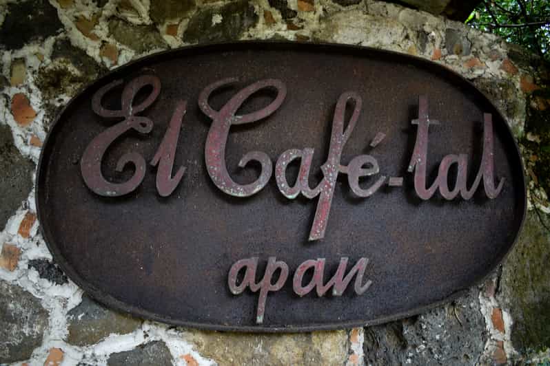 From Veracruz: Xalapa, Xico & Coatepec Culture & Coffee Tour | GetYourGuide