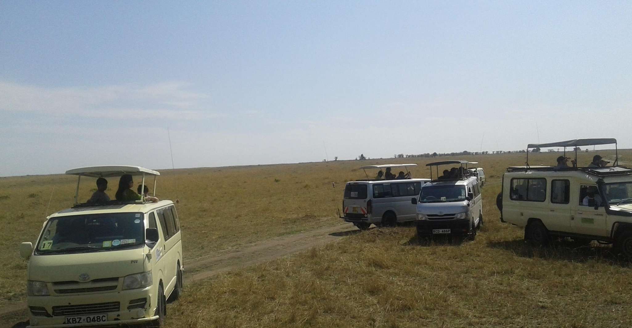 From Nairobi, 3-Day/2-Night Maasai Mara Group Safari - SuiteTrails