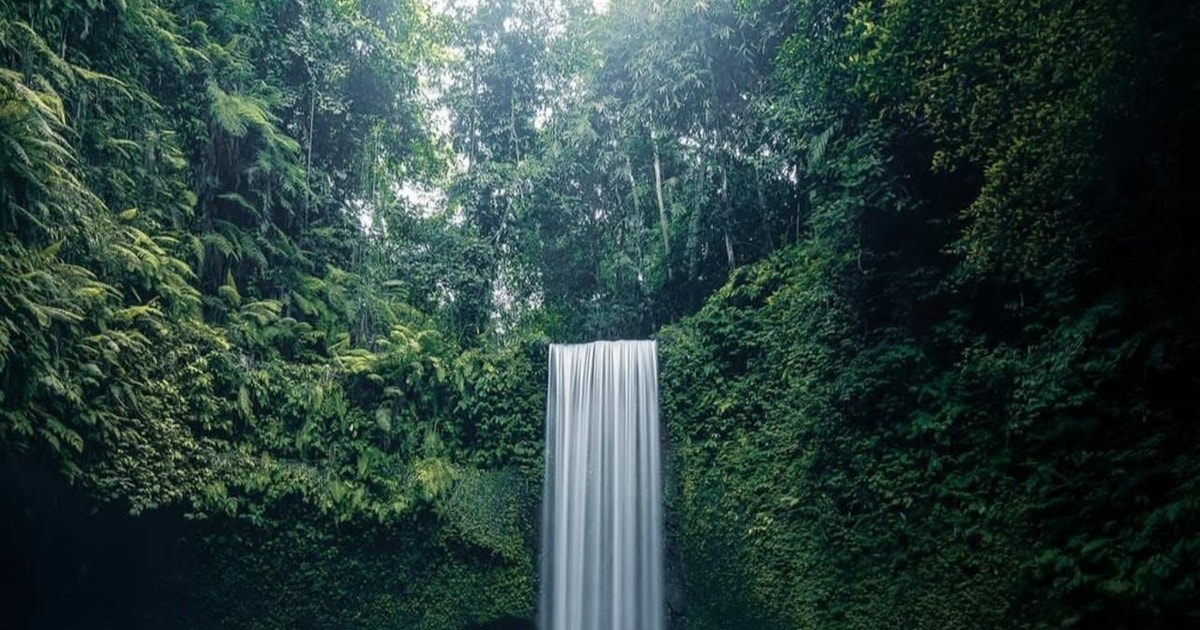 Ubud: Waterfall tour and Cretya day club | GetYourGuide