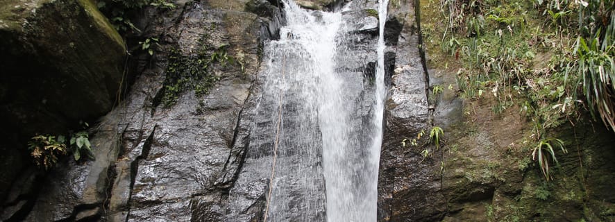 Rio De Janeiro: Wanderung Zur Spitze Des Tijuca-Waldes – JYZXLK
