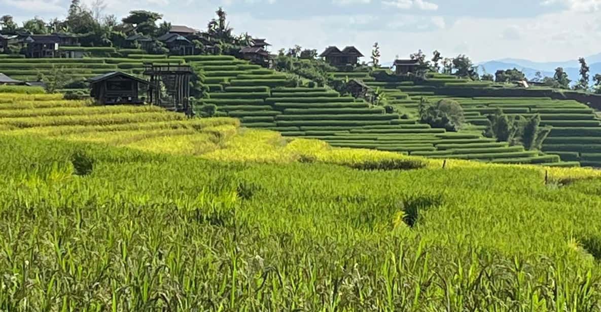 Pa Pong Piang Rice Terraces & Doi Inthanon National Park | GetYourGuide