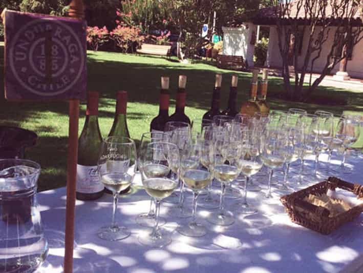 Undurraga: Official Winery Tour | GetYourGuide