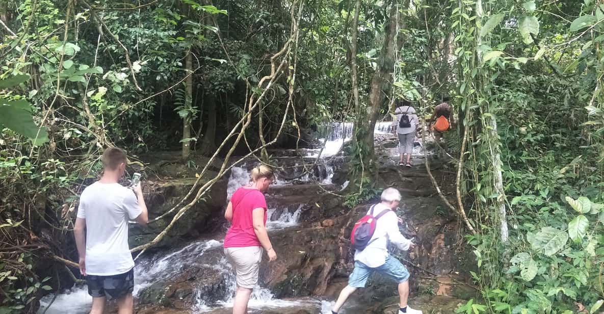 From Phuket: Rainforest and Waterfall Hiking Experience | GetYourGuide