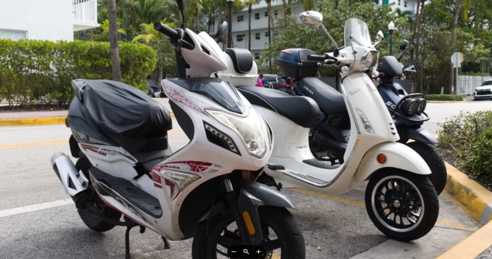Scooter Dealer Miami - Wynwood | GetYourGuide