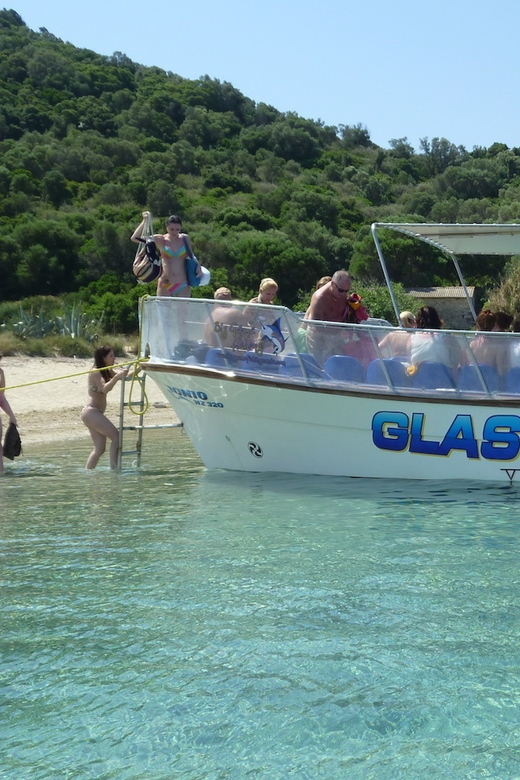 Zakynthos: Turtle Spotting Cruise on a Glass-Bottom Boat | GetYourGuide