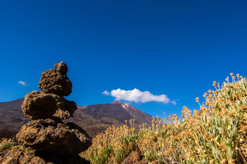 Teide: Guided Sunset and Stargazing Tour with Dinner | GetYourGuide