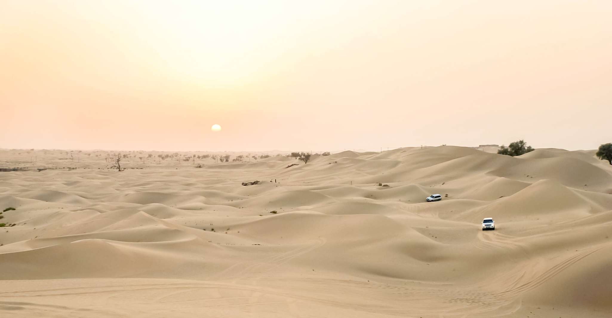 Doha, Safari, Camel Ride, Sandboarding and Inland Sea Tour | Adventure ...