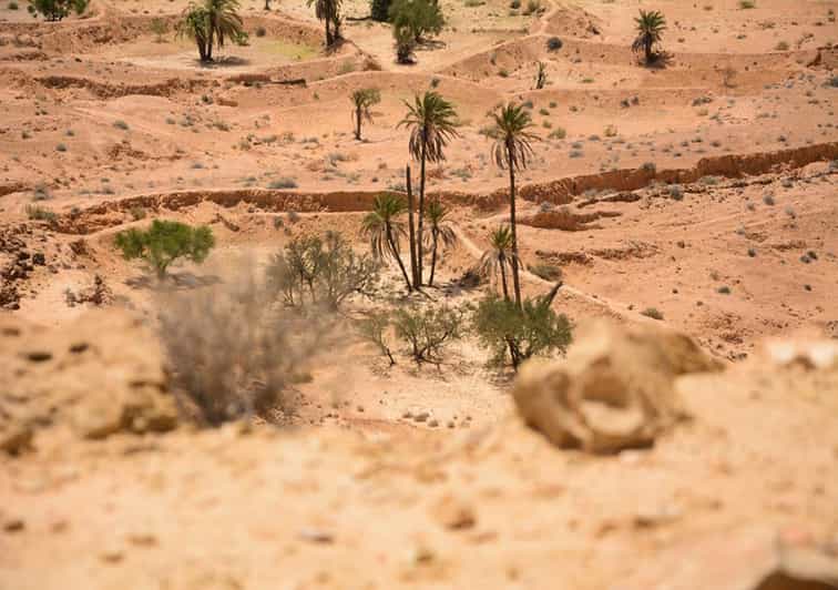 Djerba-Zarzis: Tataouine, Chenini i Ksar Hadada Day Tour | GetYourGuide