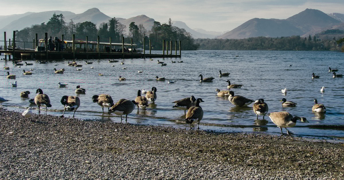 Från Manchester: Resa till Lake District | GetYourGuide