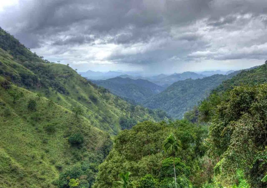 Kandy: Shanthipura y Nuwara Eliya | GetYourGuide