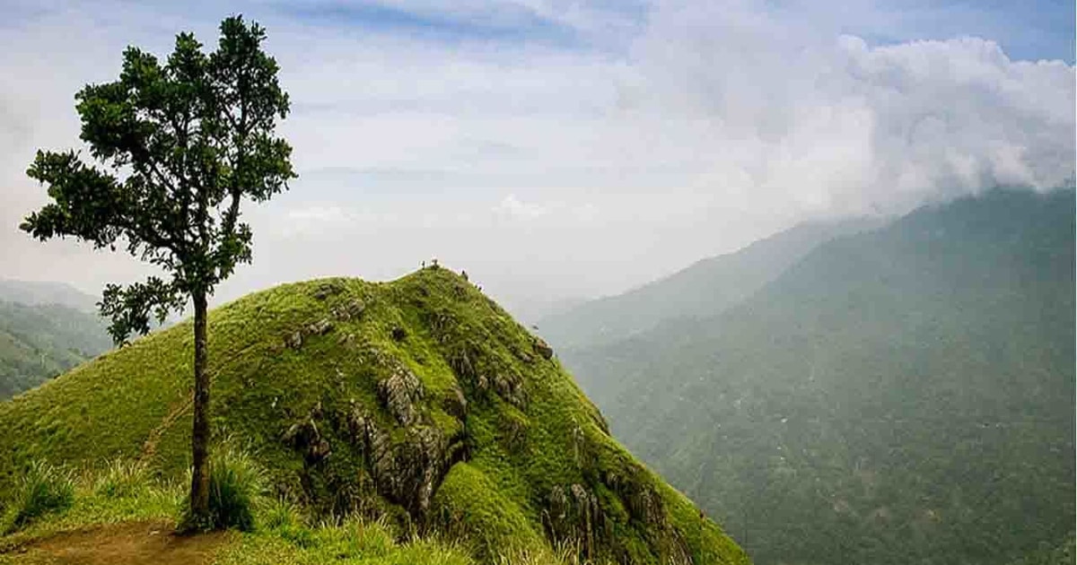 Kandy: Shanthipura and Nuwara Eliya | GetYourGuide